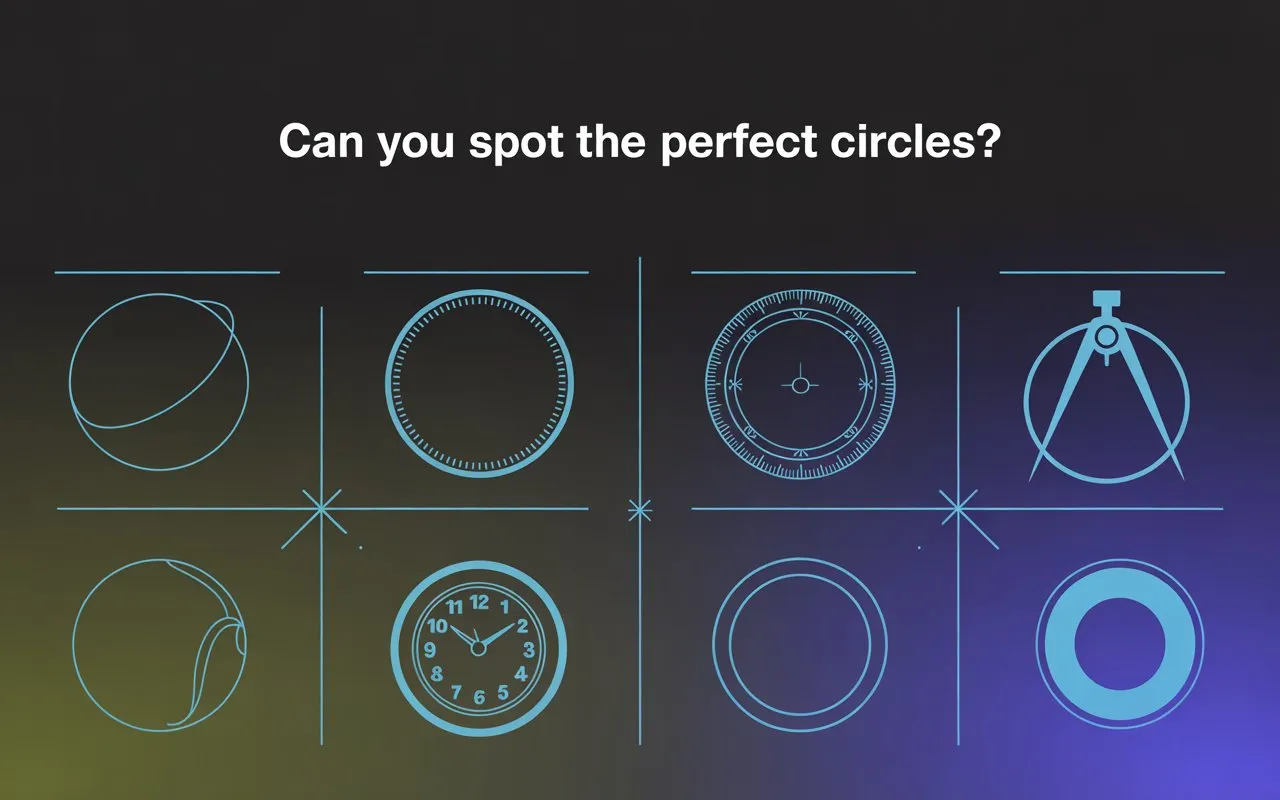 Can You Spot the Real Life Perfect Circles Challenge?